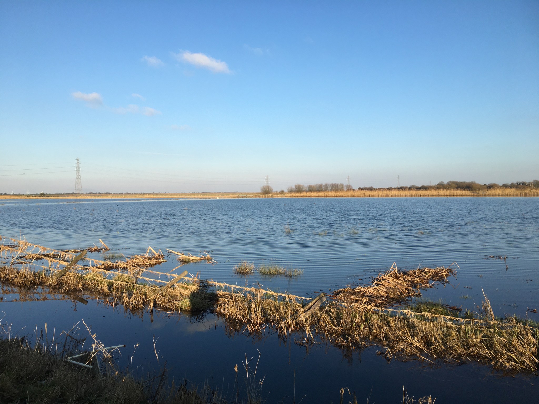 Causal Reasoning | The Camel's Back